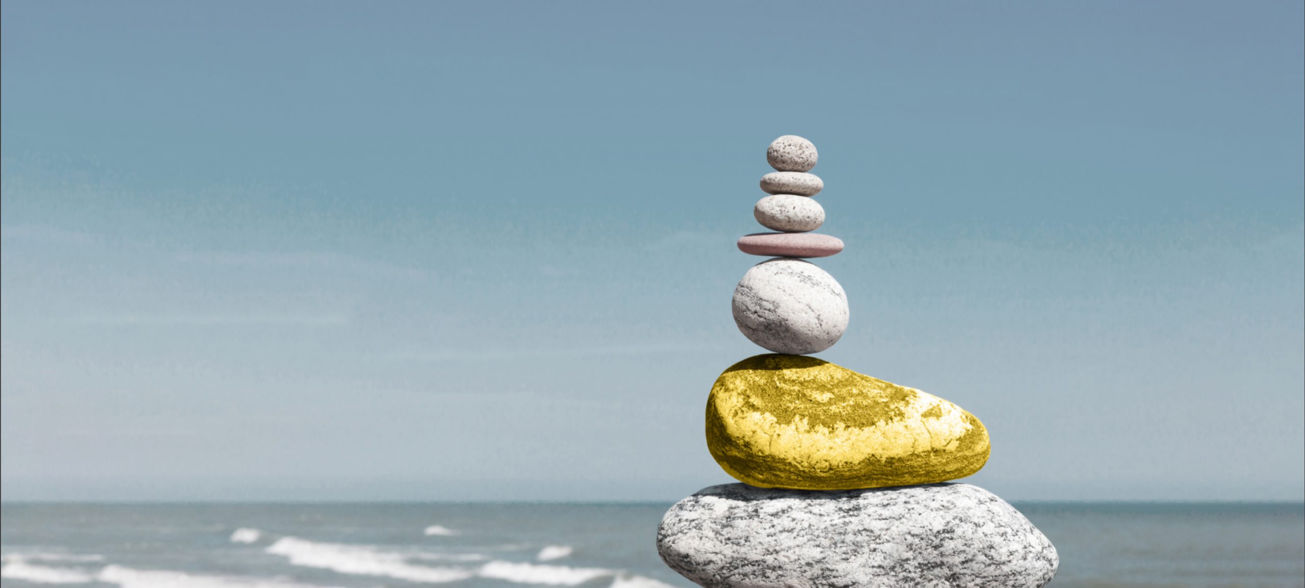 Project Assurance - Hanover Fox