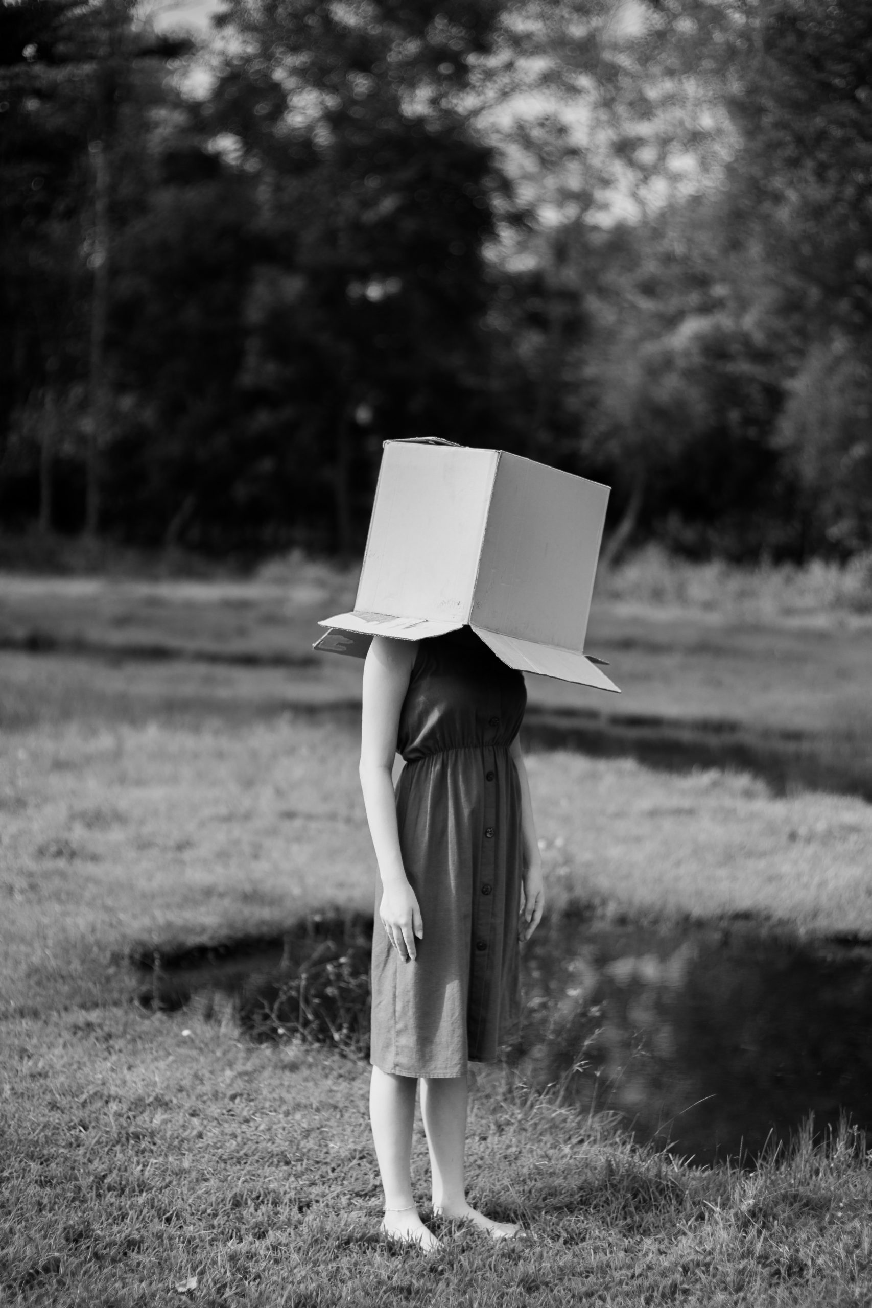 Do introverts make good leaders? - Hanover Fox Do introverts make good leaders? - Hanover Fox